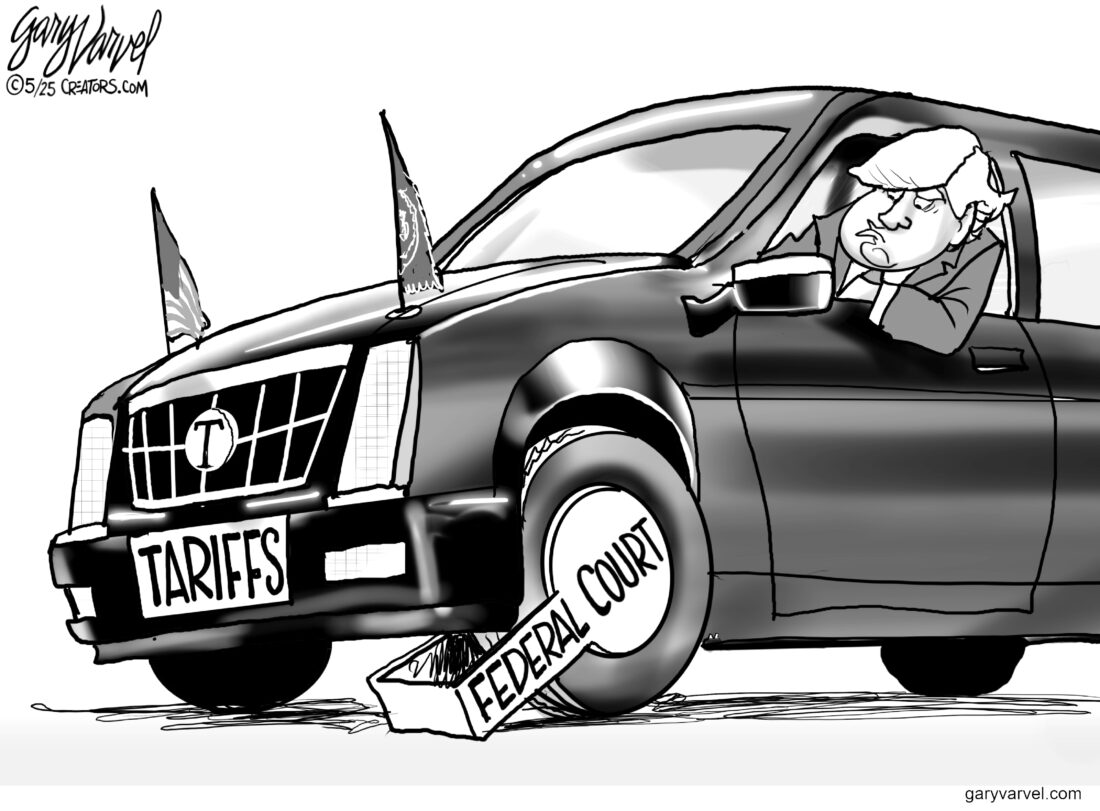 Cartoon commentary | News, Sports, Jobs - The Mining Journal